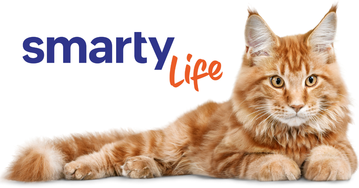 SmartyLife – akcesoria dla zwierząt: inteligentne kuwety, dozowniki, f ...